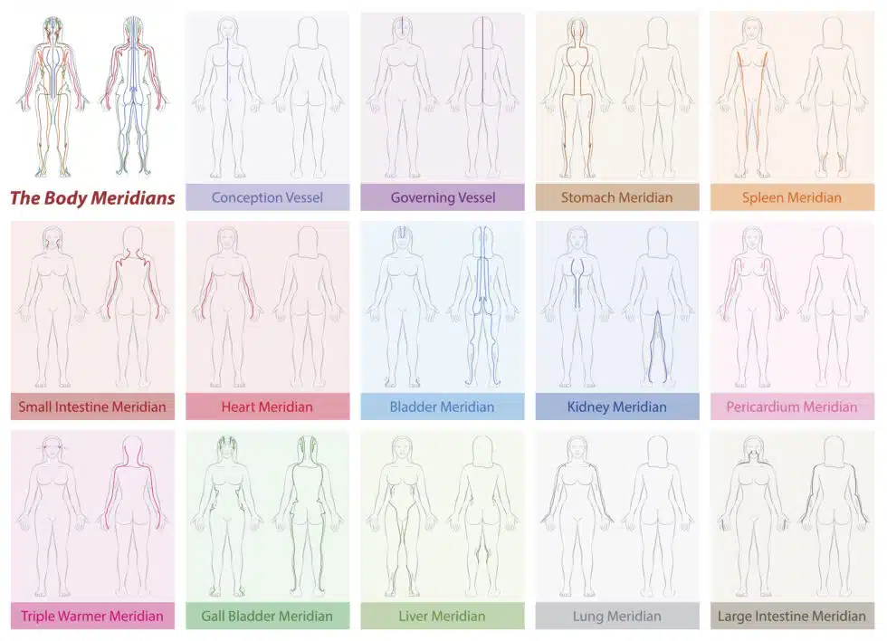 Understanding Acupuncture Meridian Pathways | ACA Acupuncture and Wellness