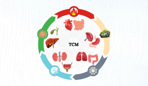 The Five Elements: What Science Has to Say About This Chinese Medicine ...