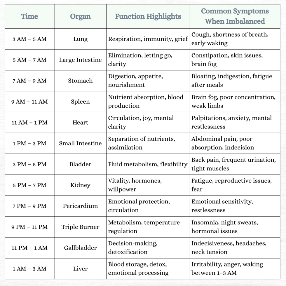 Unlocking the Chinese Body Clock: A Guide to Your Organ Energy Flow