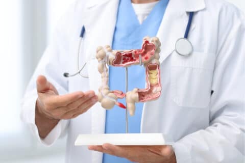 The Large Intestine Meridian Explained: A TCM Pathway for Letting Go ...
